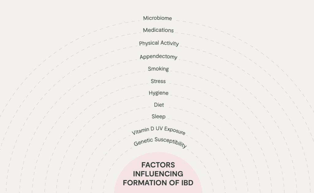 How the Gut Microbiome Affects Inflammatory Bowel Disease
