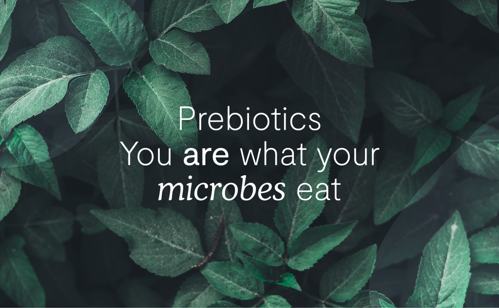 Prebiotics: You are what your microbes eat. - Invivo Healthcare